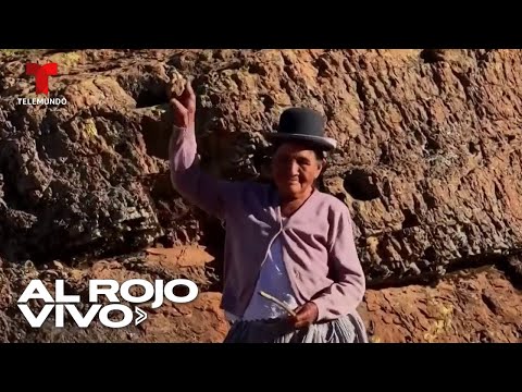 Una mujer asegura haber peleado con un extraterrestre cuerpo a cuerpo