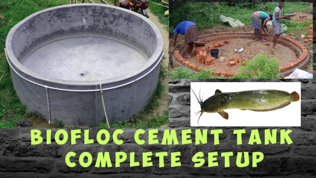 Biofloc Fish firming in India l বায়োফ্লক প্রযুক্তিতে মাছ চাষ#10000 ltr ...