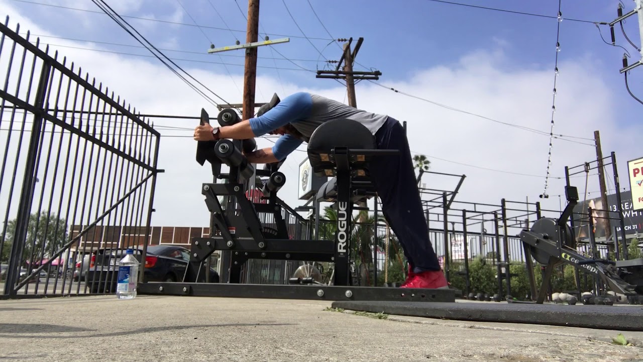 Reverse Hyper (Unloaded/Loaded) - YouTube