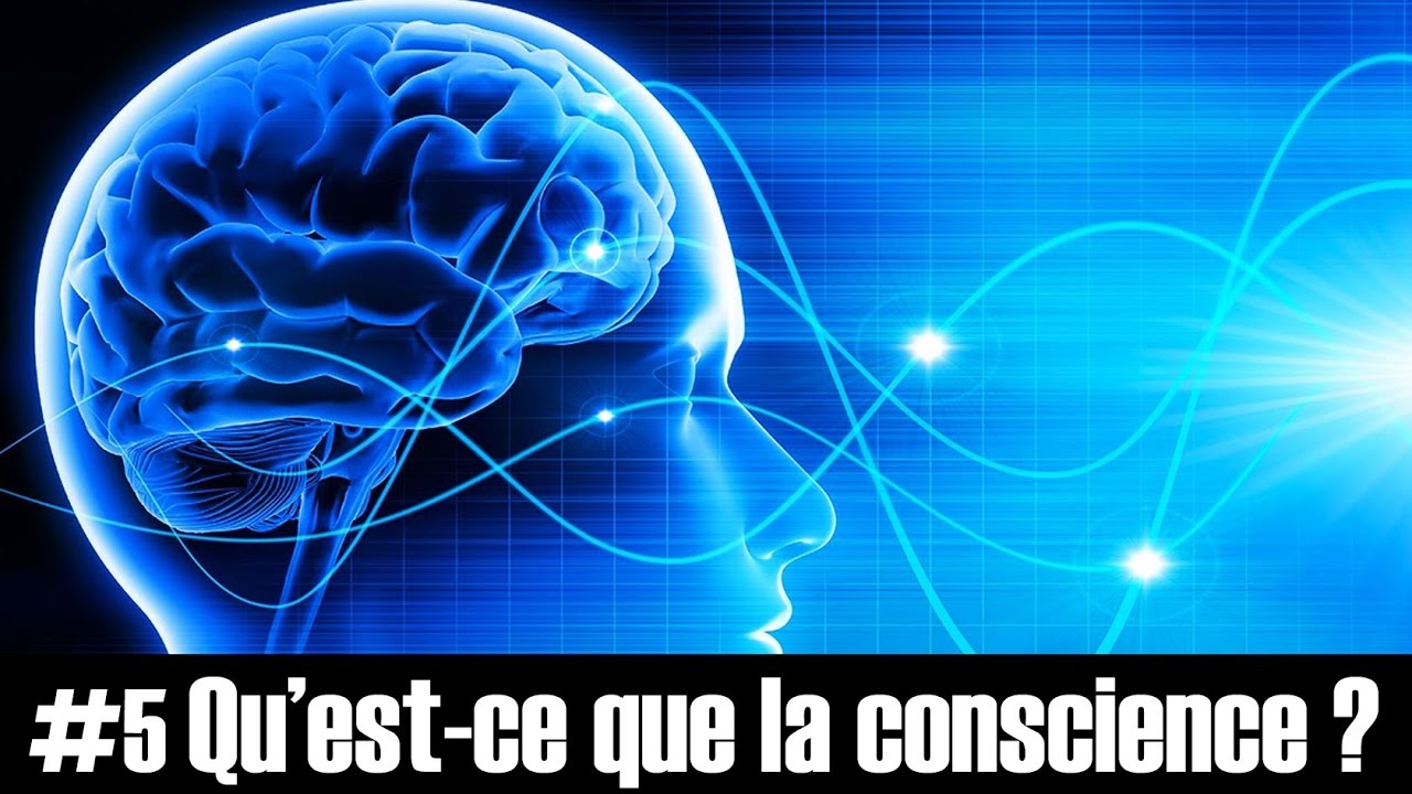 💖 #05 - Qu'est-ce que la conscience ? - Tom Campbell expliqué - YouTube