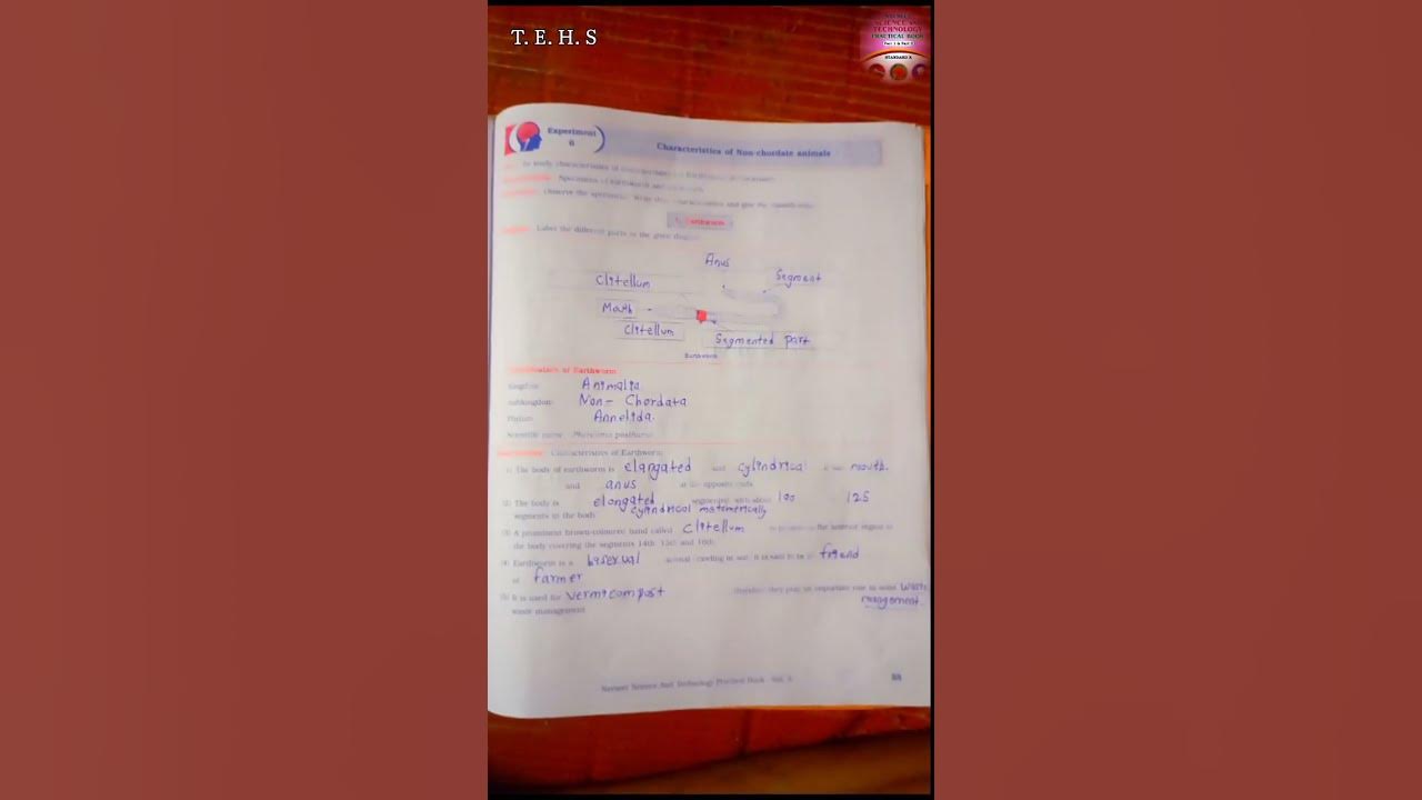 EXPERIMENT 6 || SCIENCE PART 2 | PRACTICAL BOOK || CLASS 10TH - YouTube