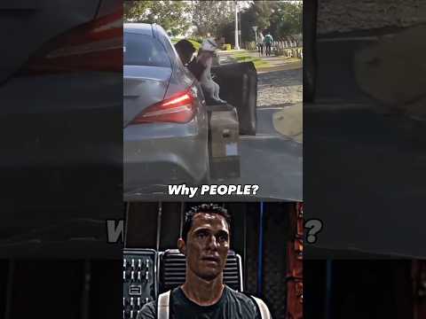 Dog Sad Moments ABANDONED DOG ❤️‍🩹