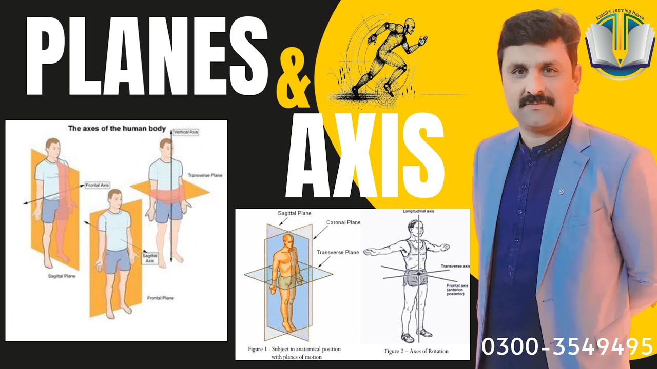 Planes & Axis of Human Movements | Planes and axis in bio mechanics ...