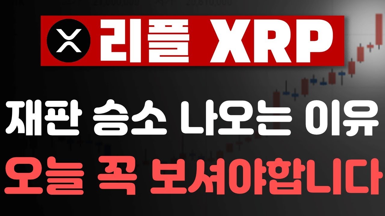 리플전망 모두가 리플 승소를 택한 이유 이미 많은 투자 계약건 소식까지 오늘 영상은 꼭 보셔야합니다 리플전망 리플호재