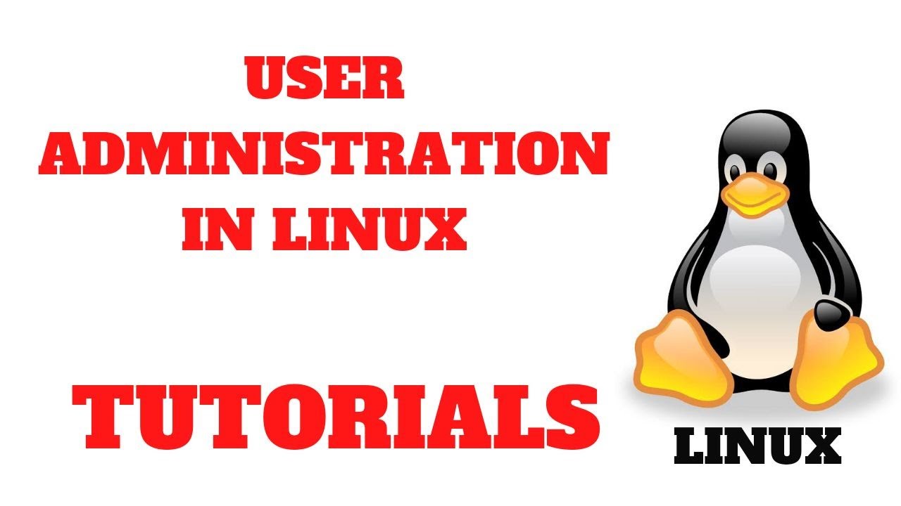 Useraddusermoduserdelgroupadduser Management Commands In Linux Youtube