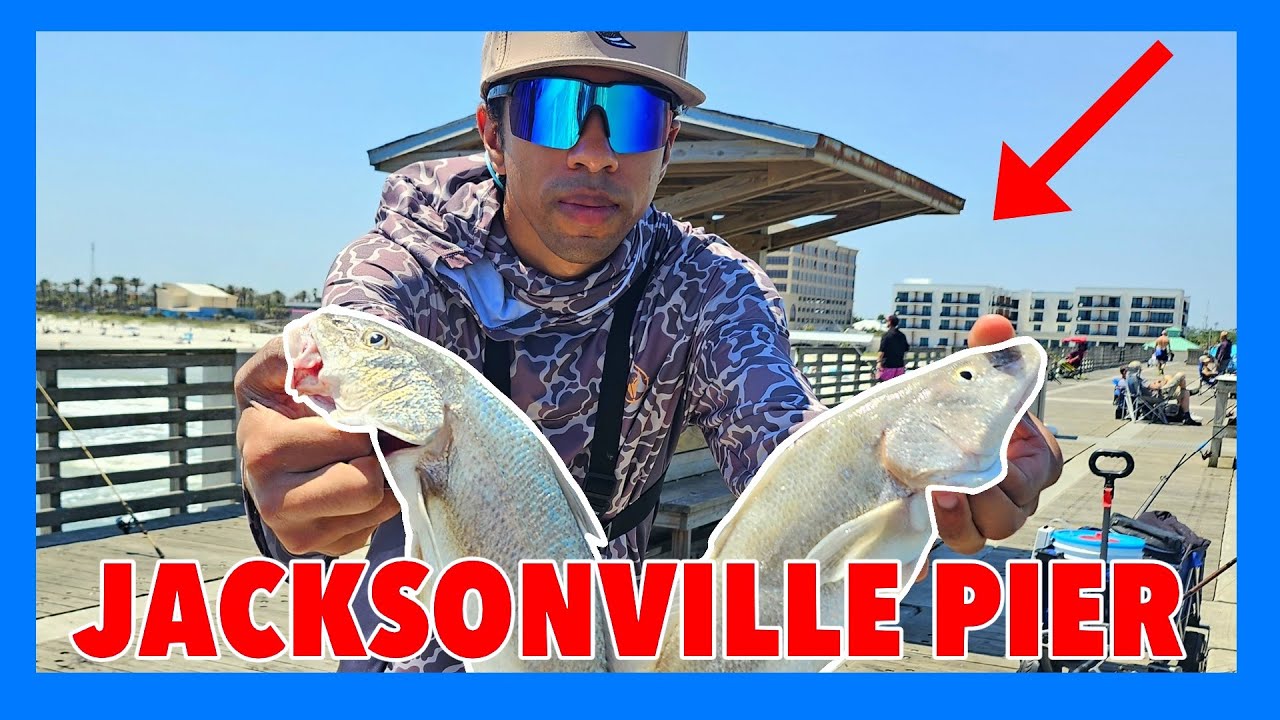Diverse Bite & FAT WHITING | JACKSONVILLE PIER - YouTube