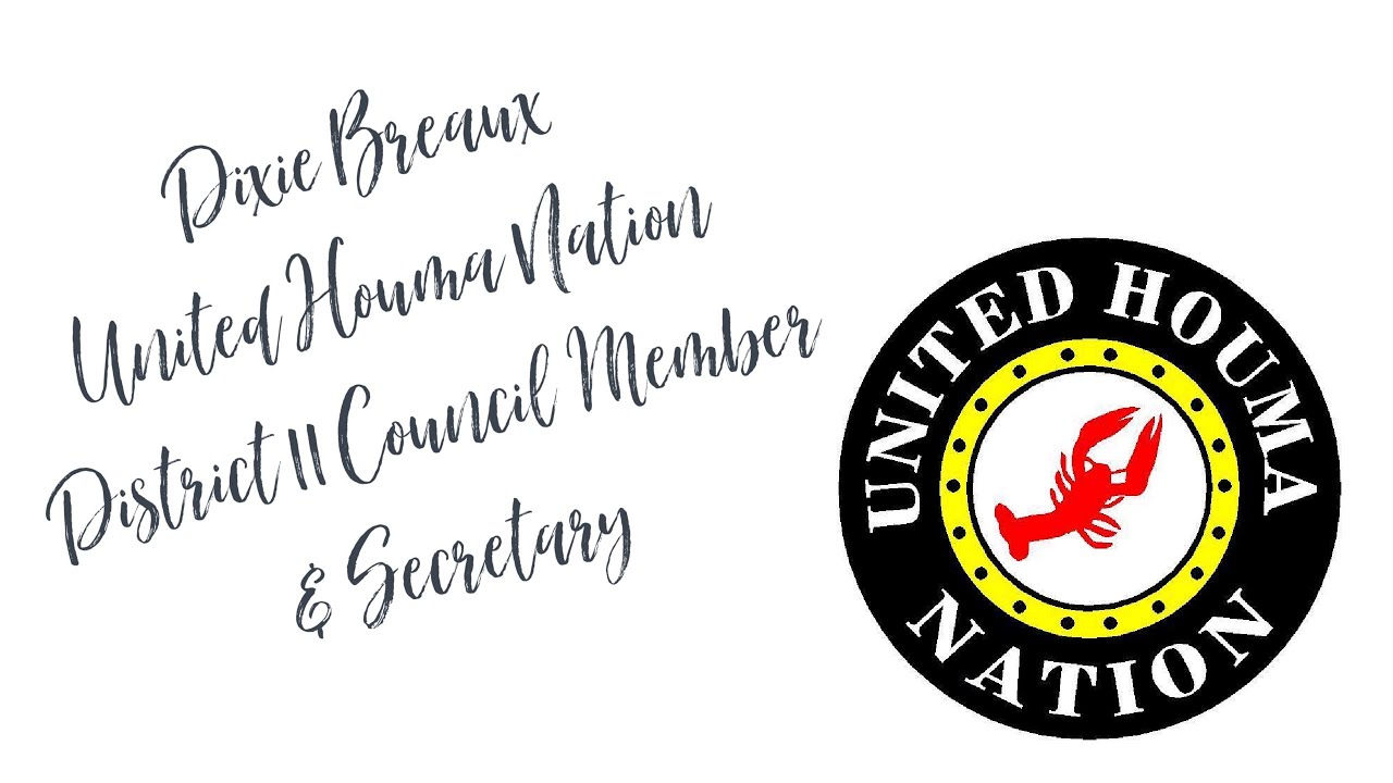 Mrs Dixie Breaux, District 11 Council Member - YouTube