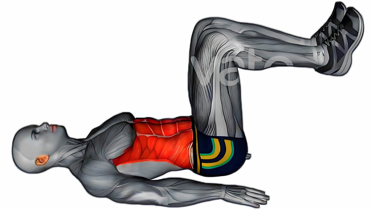 The ONLY 5 Ab Exercises You Need (NO,SERIOUSLY!) - YouTube