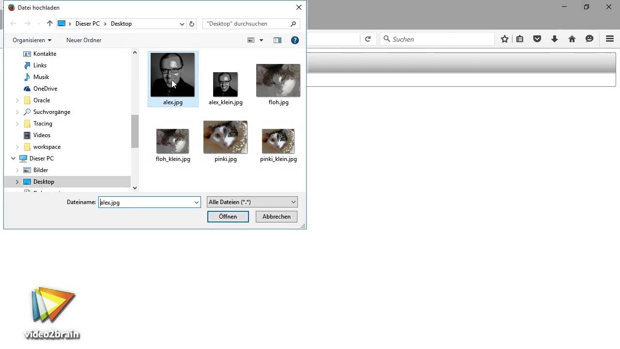 Primefaces – Eingabefelder und Multimediaverarbeitung Tutorial: Trailer |video2brain.com - YouTube