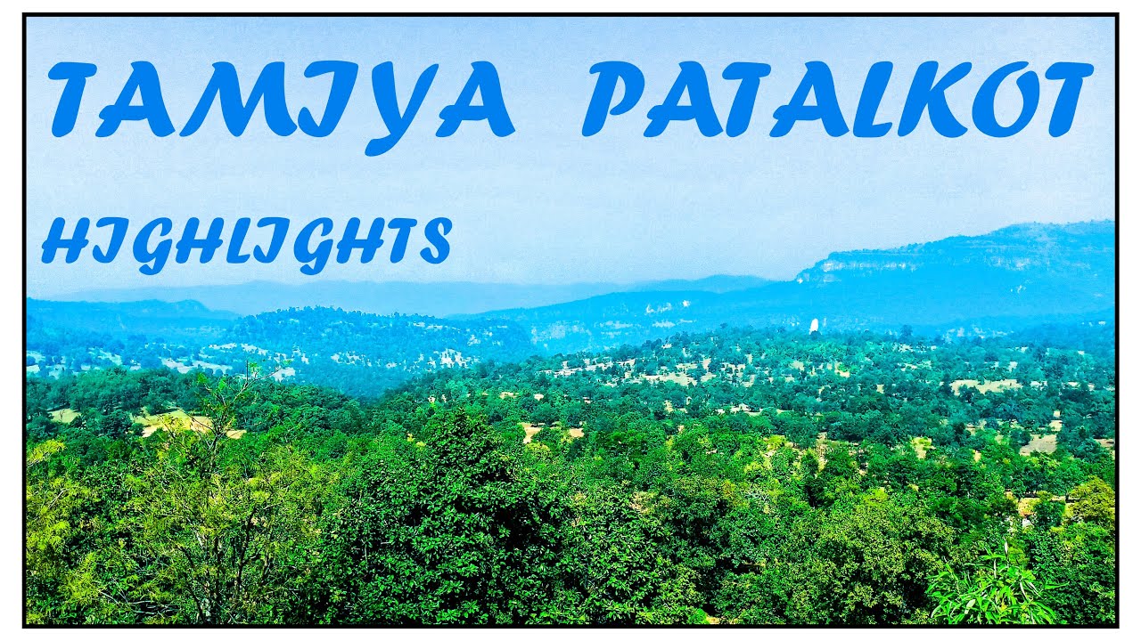 Tamiya patalkot | Whole trip highlights 😜🥰 | Patalkot Chhindwaarha ...