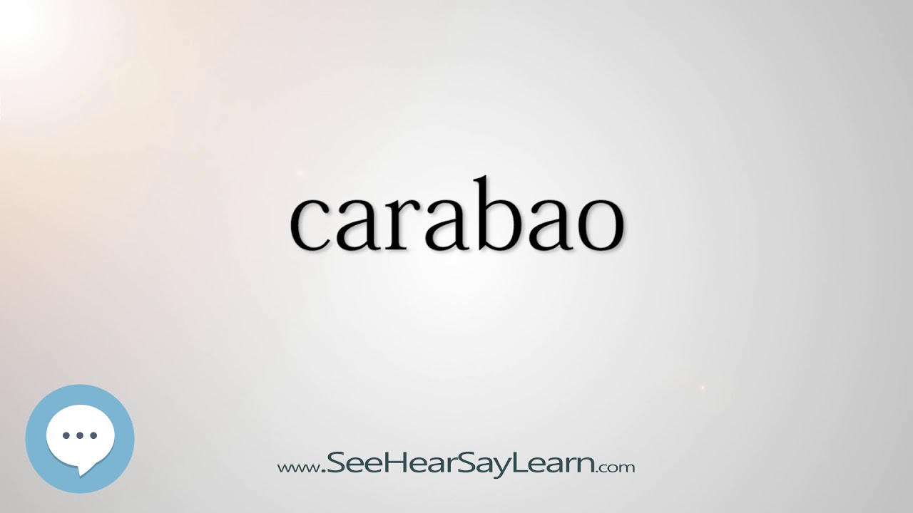carabao (Every English Word Pronounced) 📕🔊🗣️😎 - YouTube