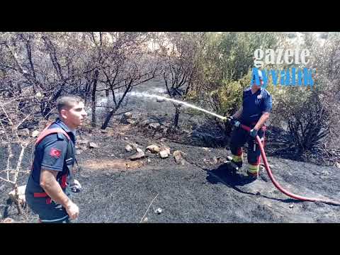 AYVALIK MEZARLIĞINDA KORKUTAN YANGIN