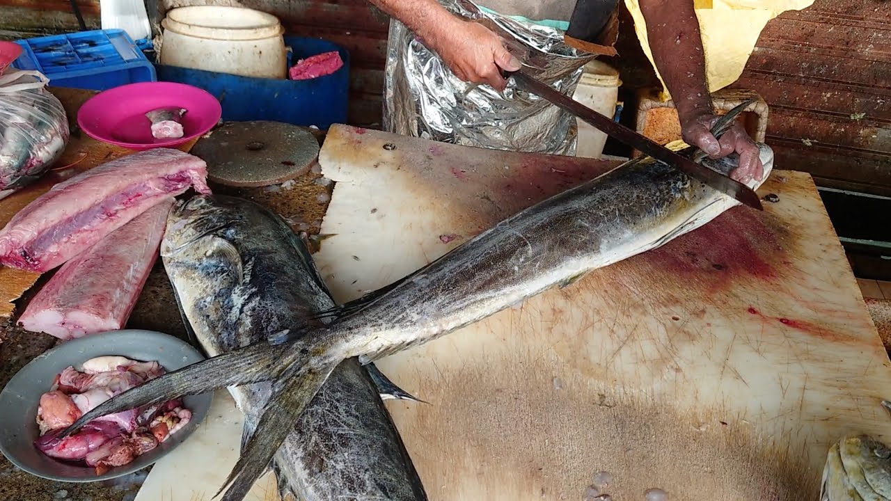 Mahi Mahi Fish Cutting Skill।Giant Mahi Mahi Fish Cutting | Yellow ...