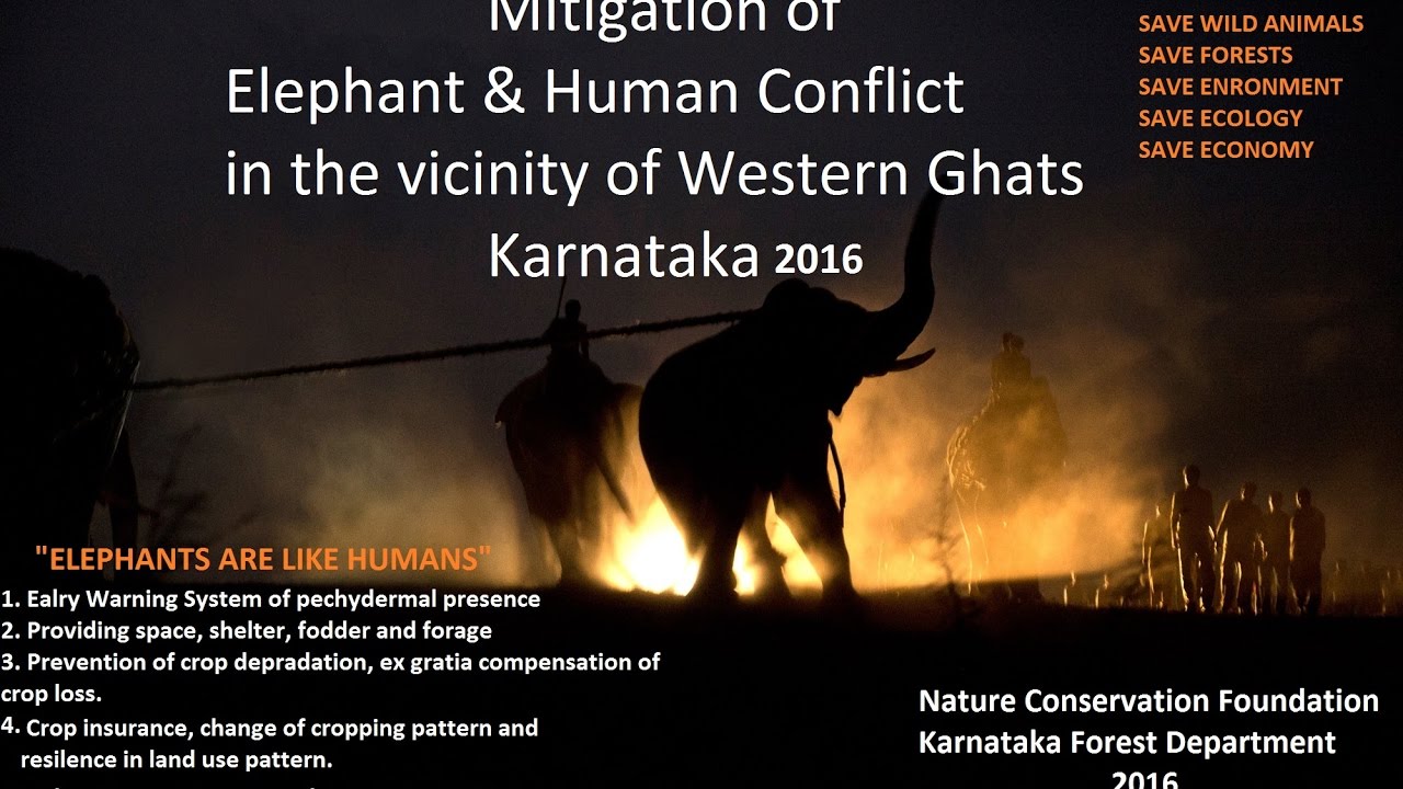 Mitigation of Human Elephant Conflict in Karnataka - YouTube