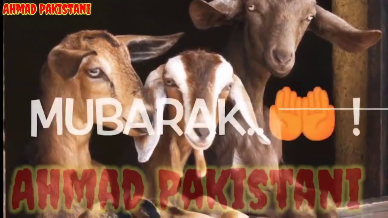 16 August 2020 - YouTube