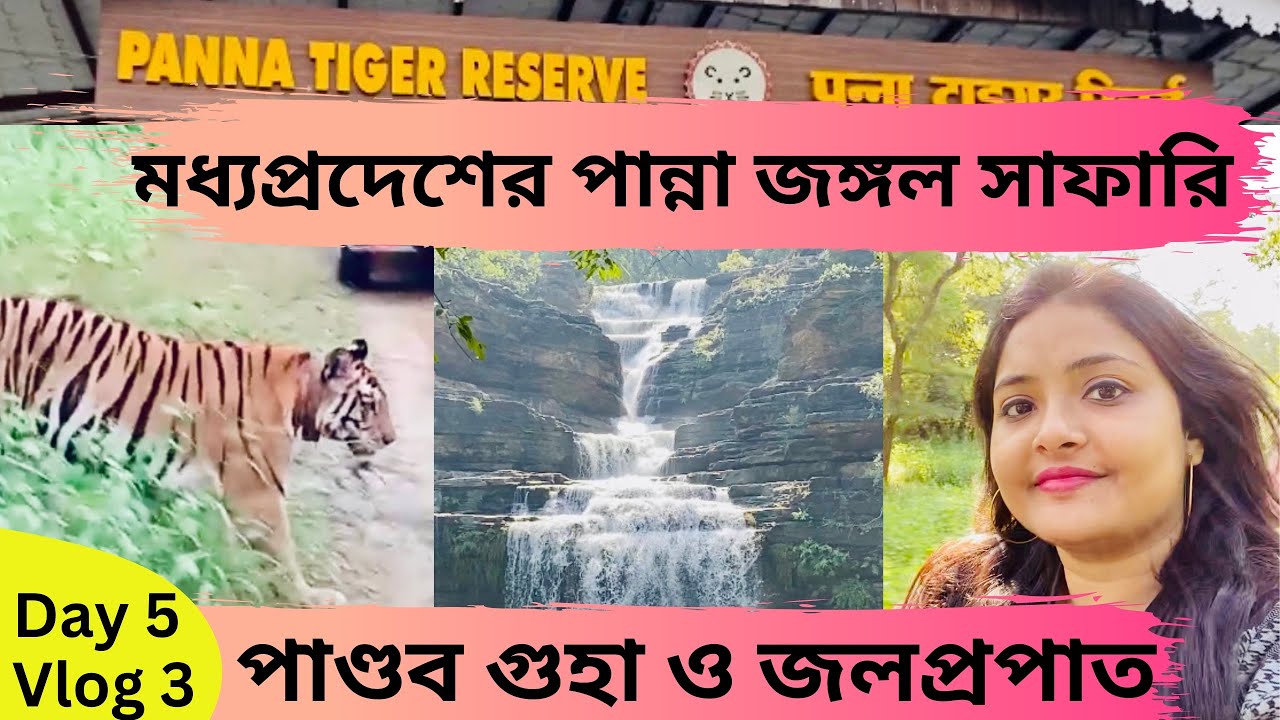 Panna National Park Jungle Safari || Pandav Fall & Caves || Madhya ...