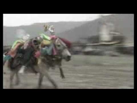 Yak and Horse Racing in Tibet - YouTube