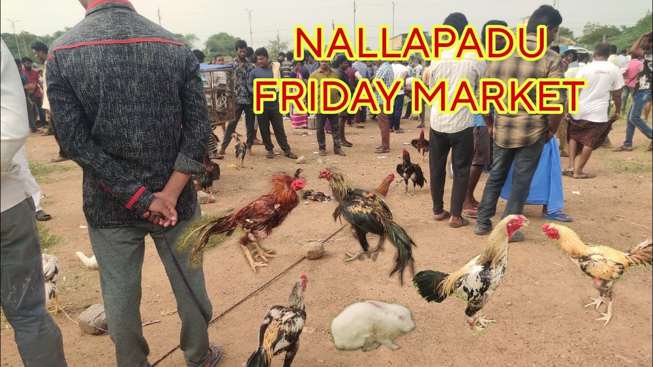 Nallapadu Friday Market#nallapadu - YouTube