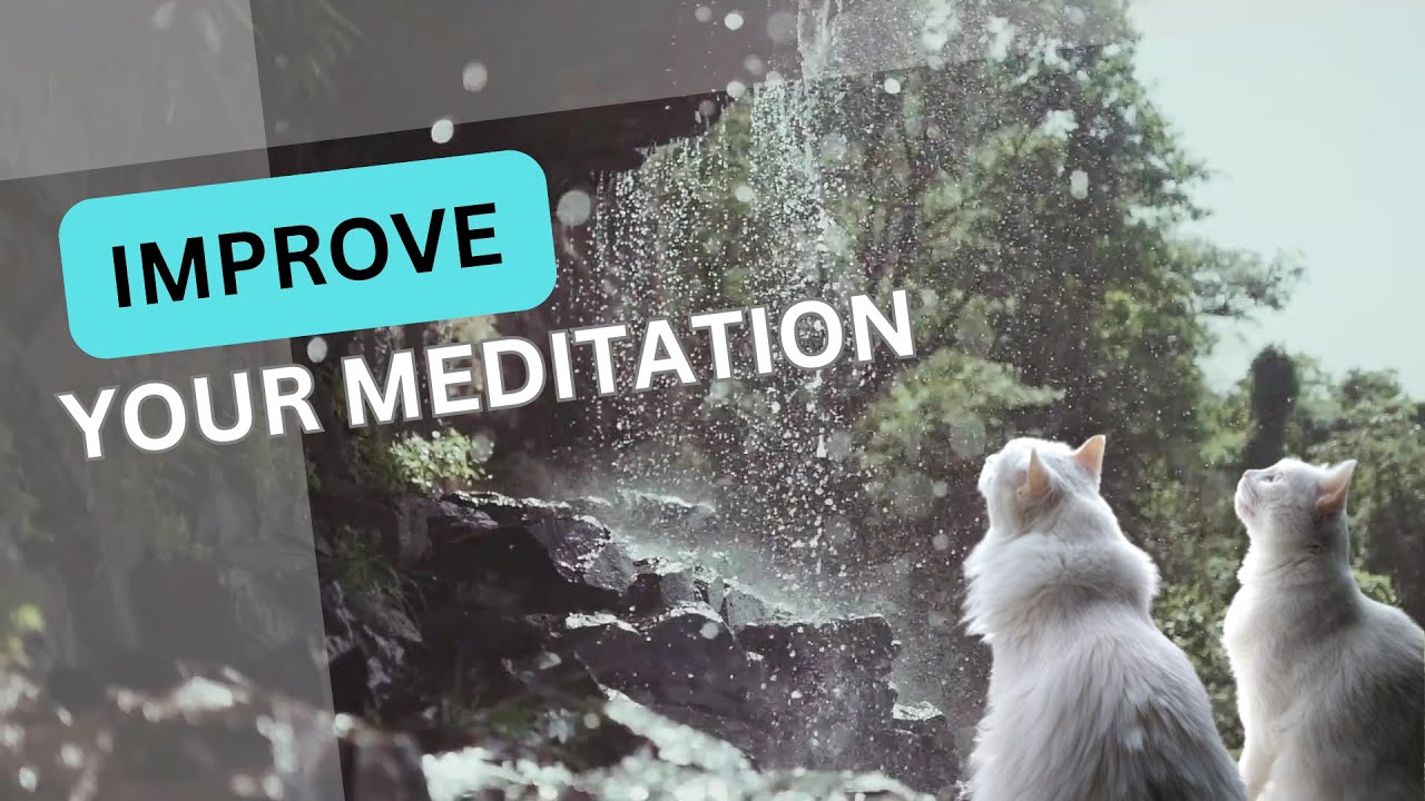 Watch this video to improve your MEDITATION and RELAXATION ️😎🎶 - YouTube