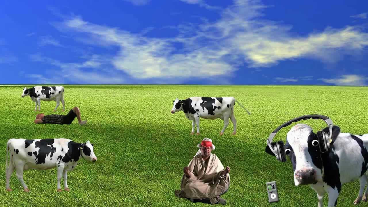 Harlem Shake Cow Edition - Cow Series - Las Vegas Mobsquad - YouTube