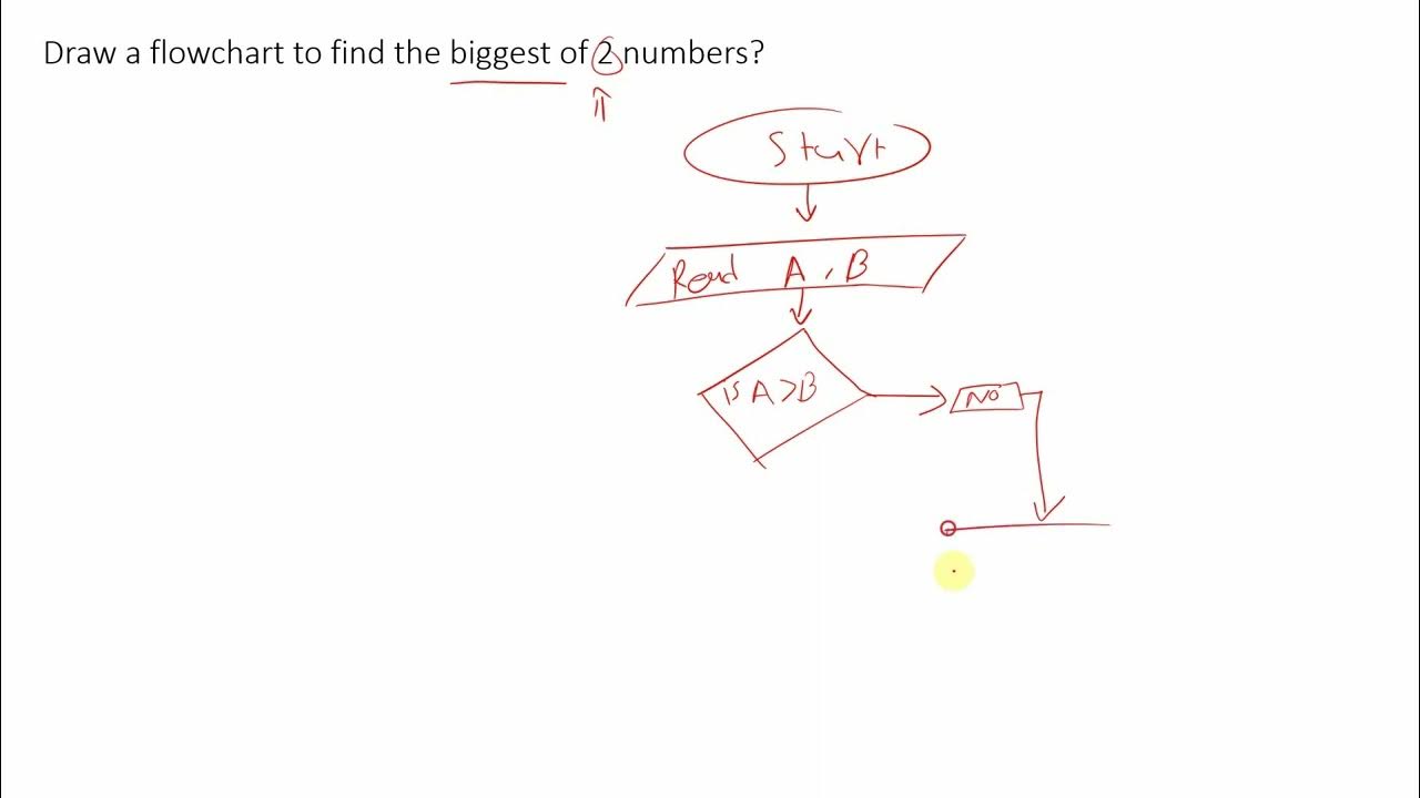 flowchart branching activity 2 - YouTube