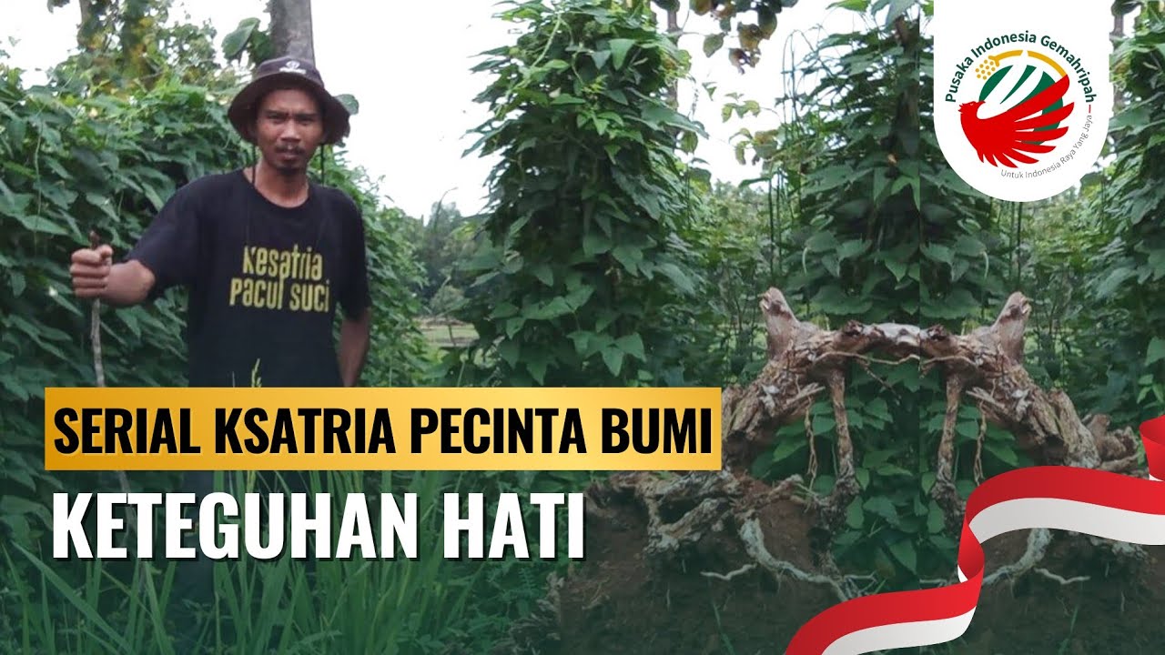 Serial Ksatria Pecinta Bumi #2 - Keteguhan Hati - YouTube