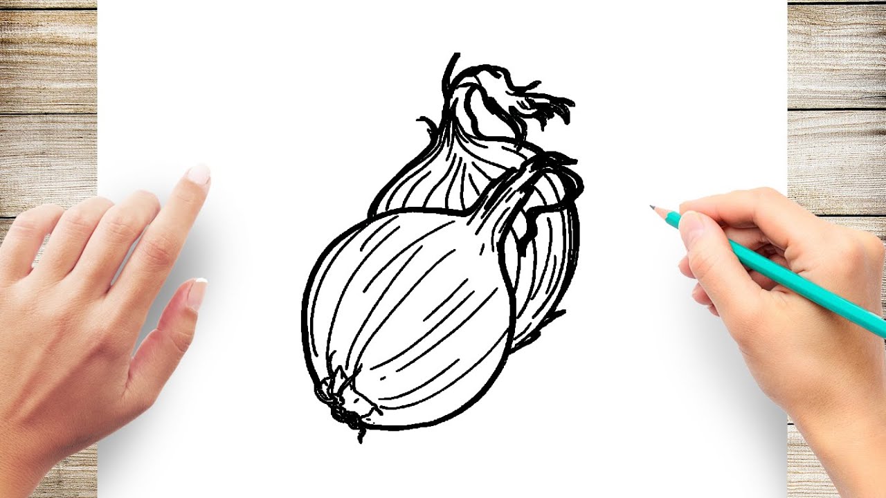 How to Draw Onion Step by Step - YouTube