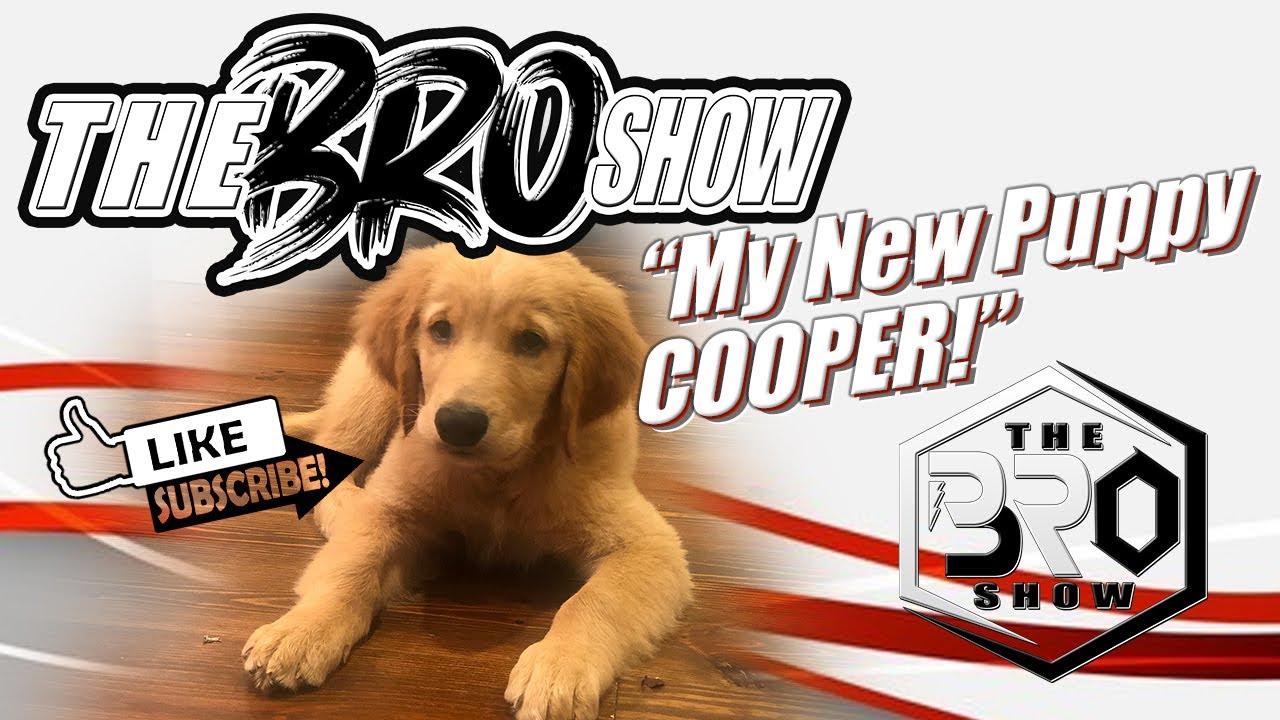 The Bro Show-My Puppy Cooper - YouTube