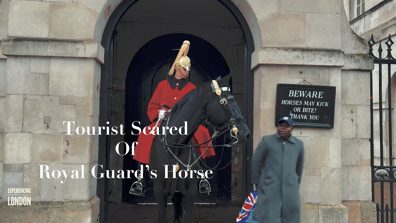 Tourist Terrified of Royal Guard Horse! | 4k - YouTube