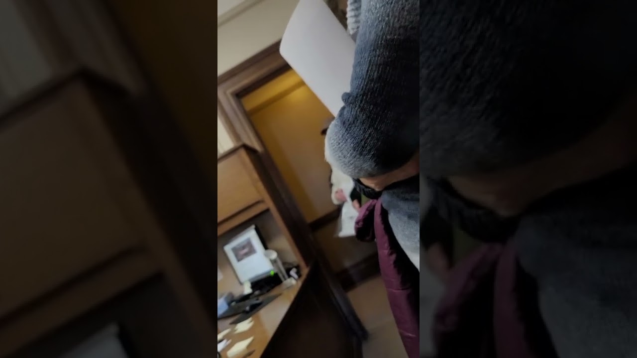 Wisconsin GOP lawmaker calls for election cheating in video