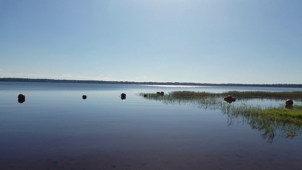 Ocean pond - YouTube