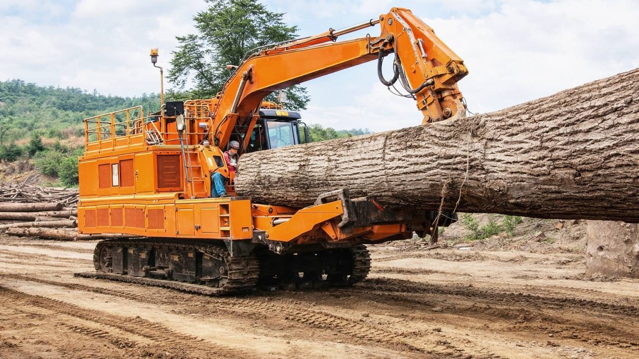 When Giant Wood Chippers Go All In | Dangerous Tree Shredding - YouTube