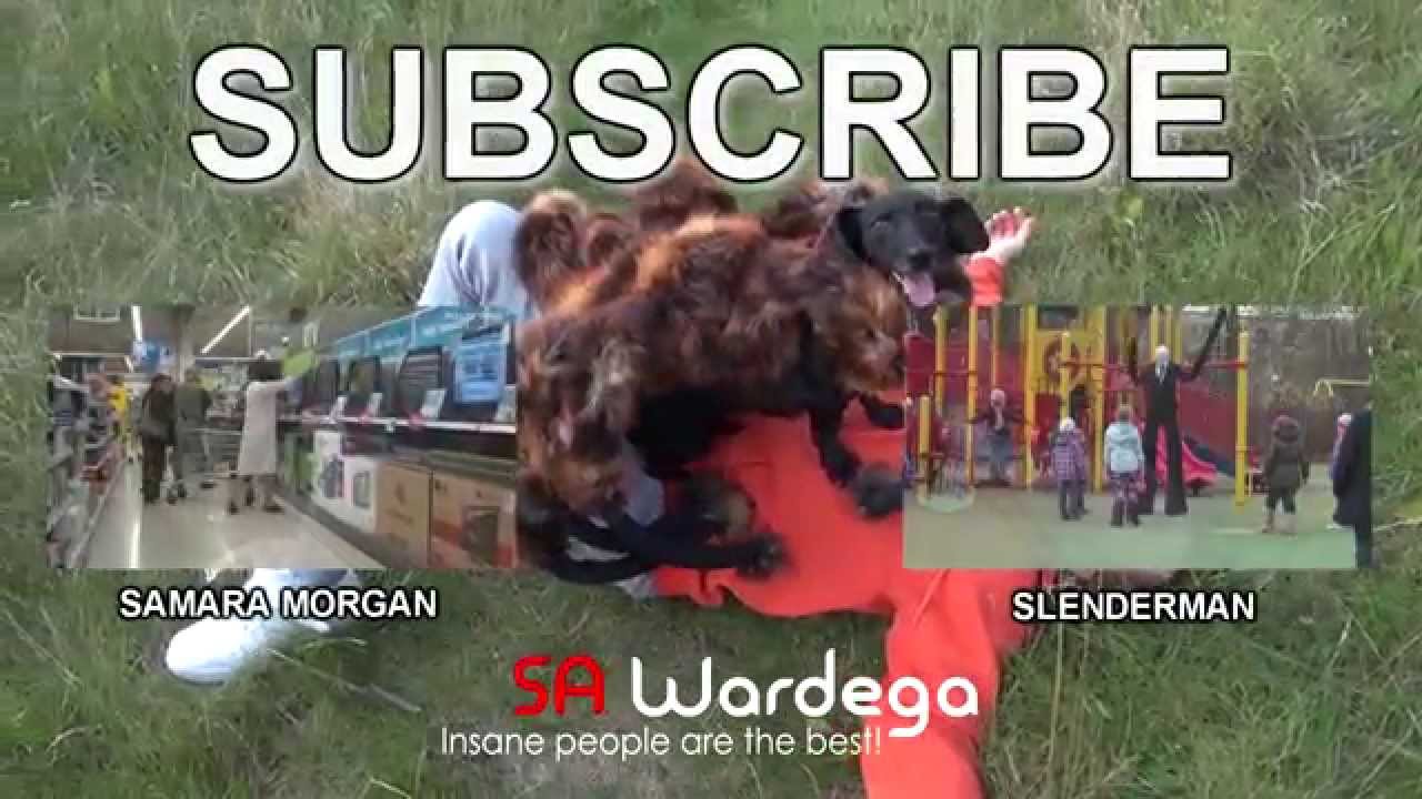 Mutant Giant Spider Dog SA Wardega - YouTube