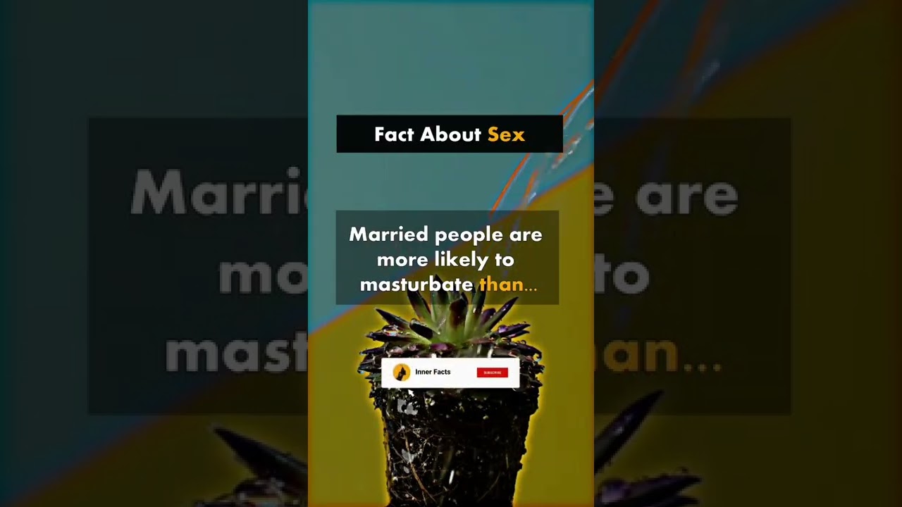 Married People Fact About Sex Fe 103 Shorts Youtube
