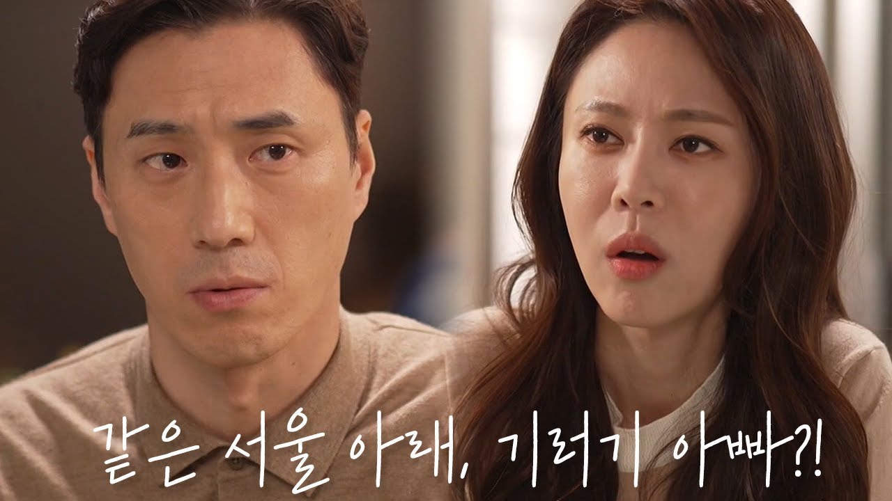 졸지에 기러기 아빠가 된 남편 위장 전입한 강남 집에서 살기로 결심한 아내 다시 뜨거워지고 싶은 애로부부 69 회