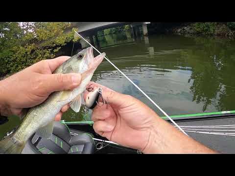 Oak Hollow Lake Fishing 9-11-2022 - YouTube