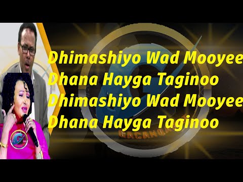 JOOQLE IYO NIMCO YAASIN SOO DHAWOOW  OFFICIAL MUSIC VIDEO LYRICS 2021