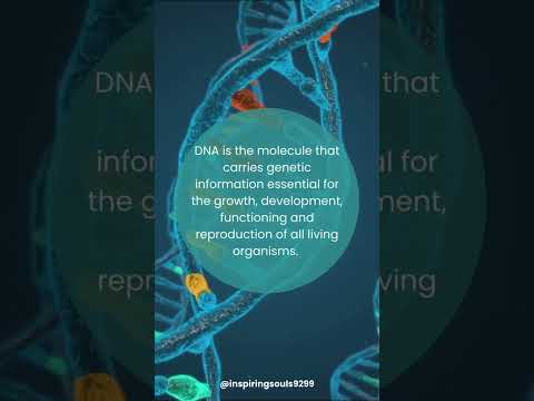 Lets Learn about DNA - YouTube