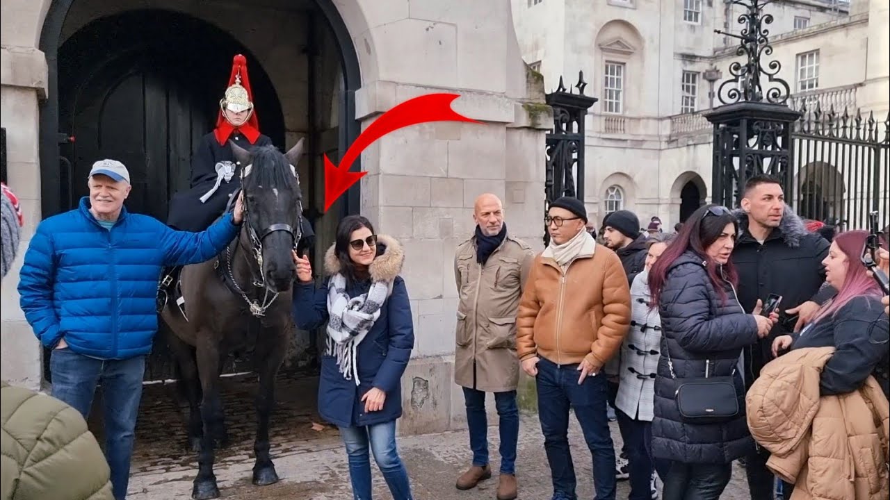 Keep your Distance, Horse May Kick or Bite! - YouTube