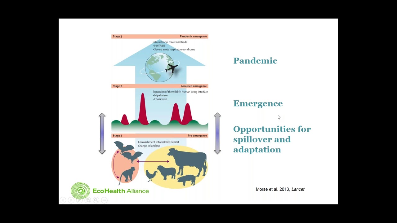 Understanding the Ecology of Emerging Zoonoses (November 2017) - YouTube