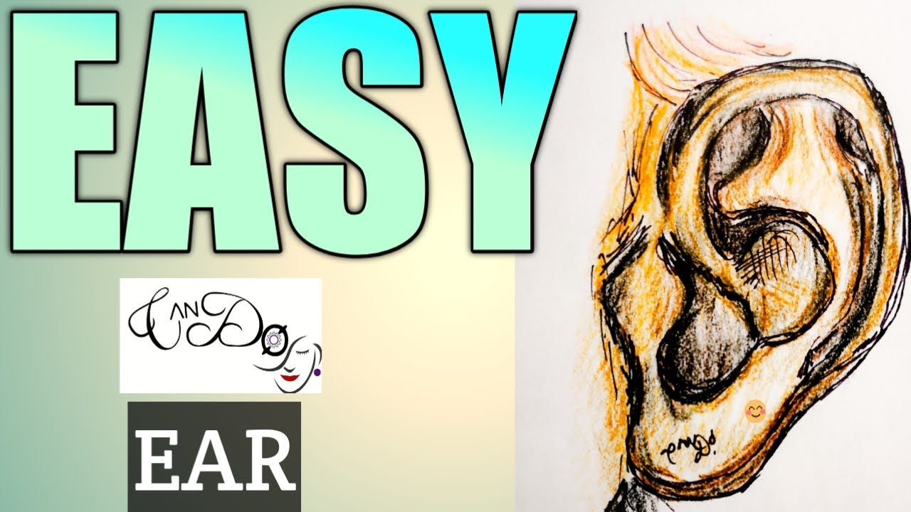 How To Draw A Human Ear Step By Step For Beginners | Easy Ear Drawing ...