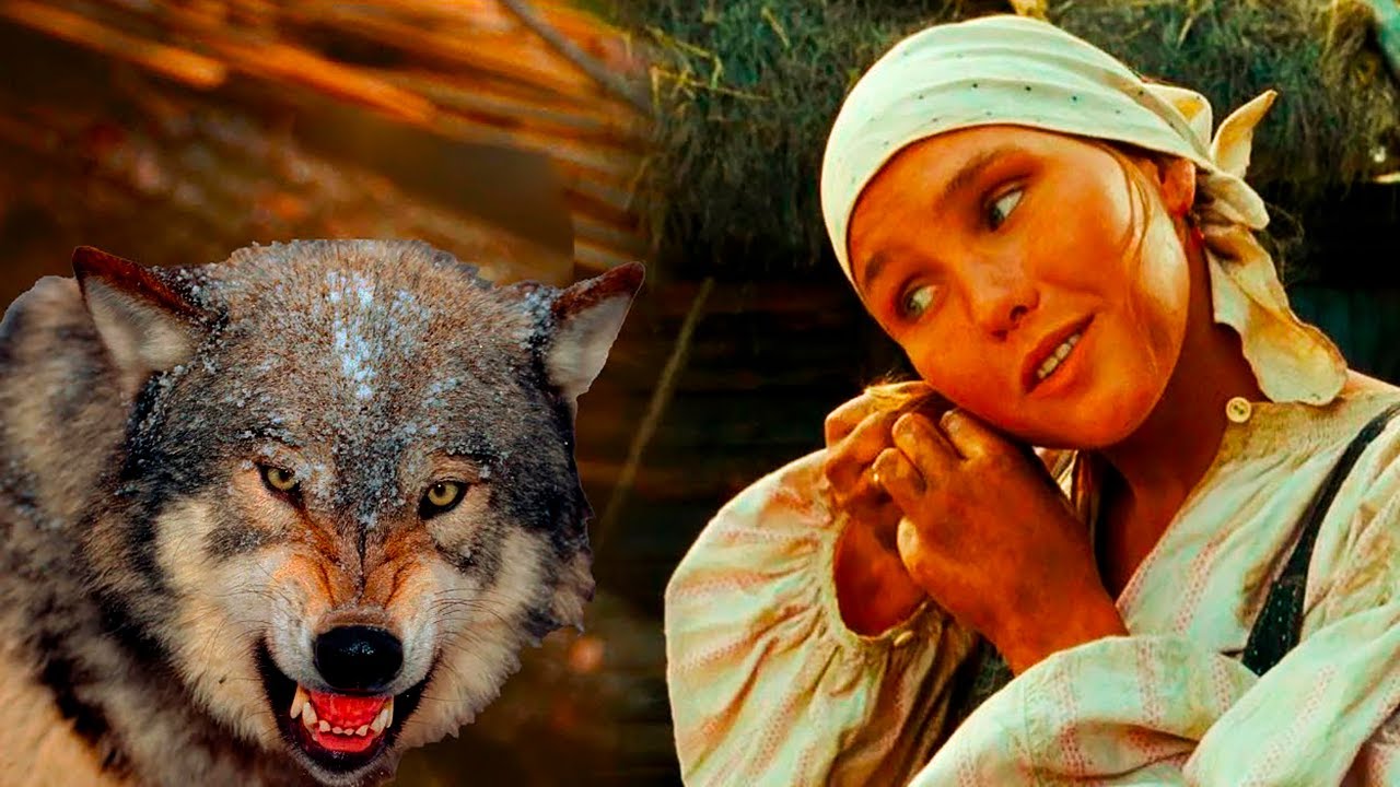 A lonely woman saved an exhausted wolf from death! But after a while ...