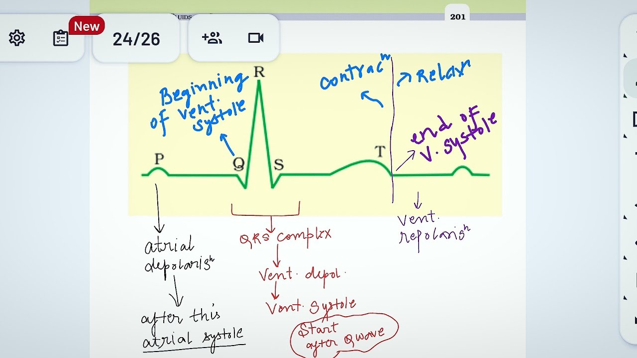 ECG (Detailed) Body fluids and circulation 💯 SECURE 🔐4MARKS IN 15min ...