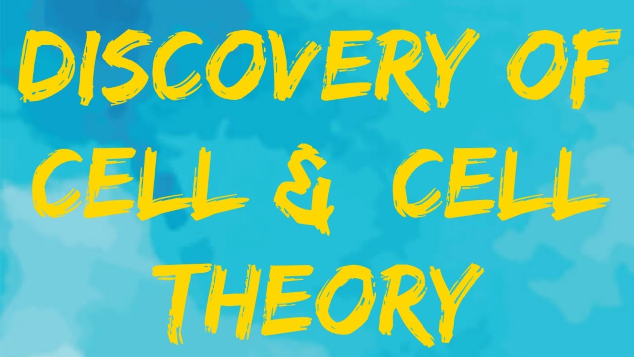 Discovery Of Cell And Cell Theory YouTube discovery-of-cell-and-cell-theory-youtube