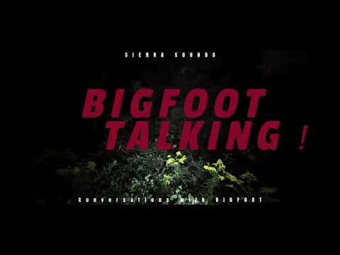 Bigfoot Talking Sierra Sounds Samurai Sounds by Ron Morehead 1971 ...