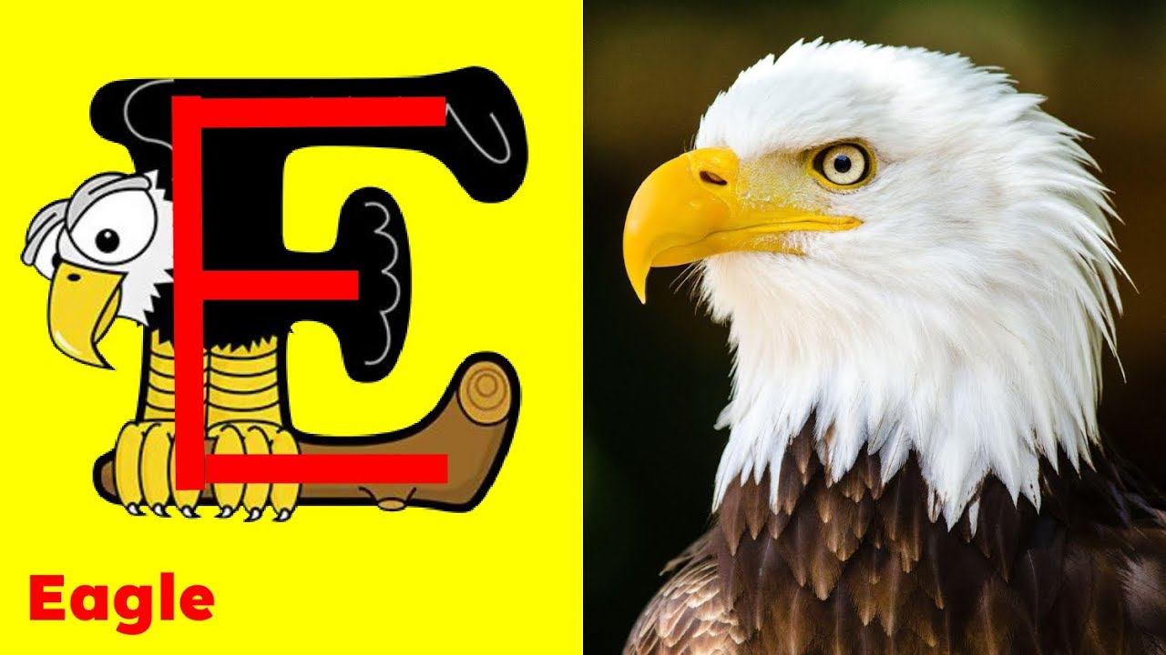 Learn to Write Letter E with Alphabetimals / How to write Alphabet ABC ...