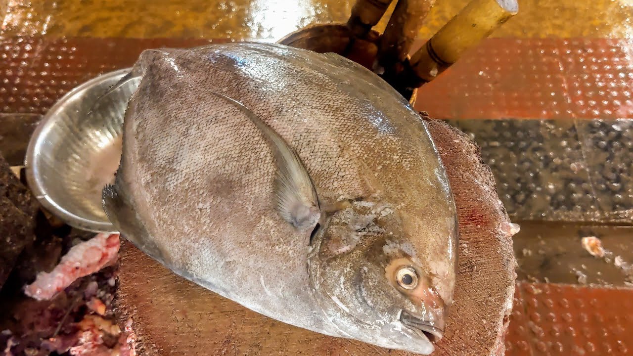 Big Pomfret Fish Cutting Skills Live In Fish Market | Fish Cutting ...