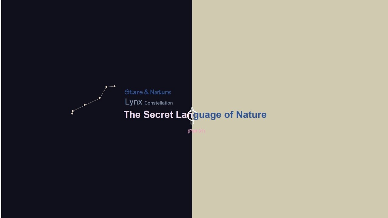 Lynx ~ The secret language of Nature 31 - YouTube