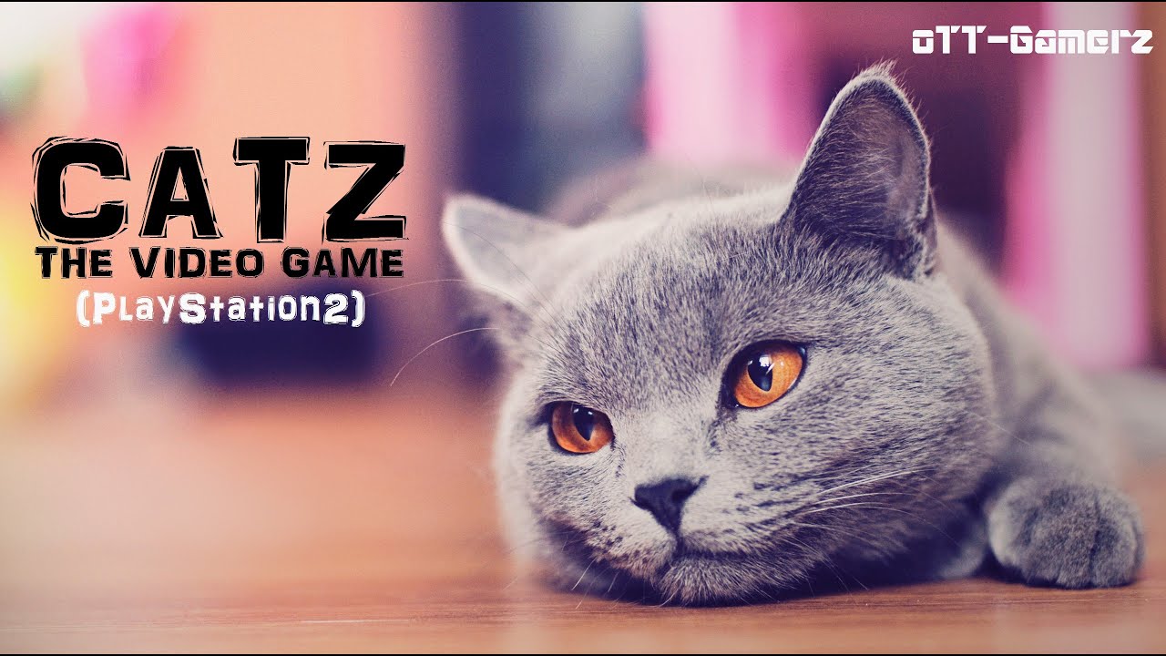 Catz The Video Game - YouTube