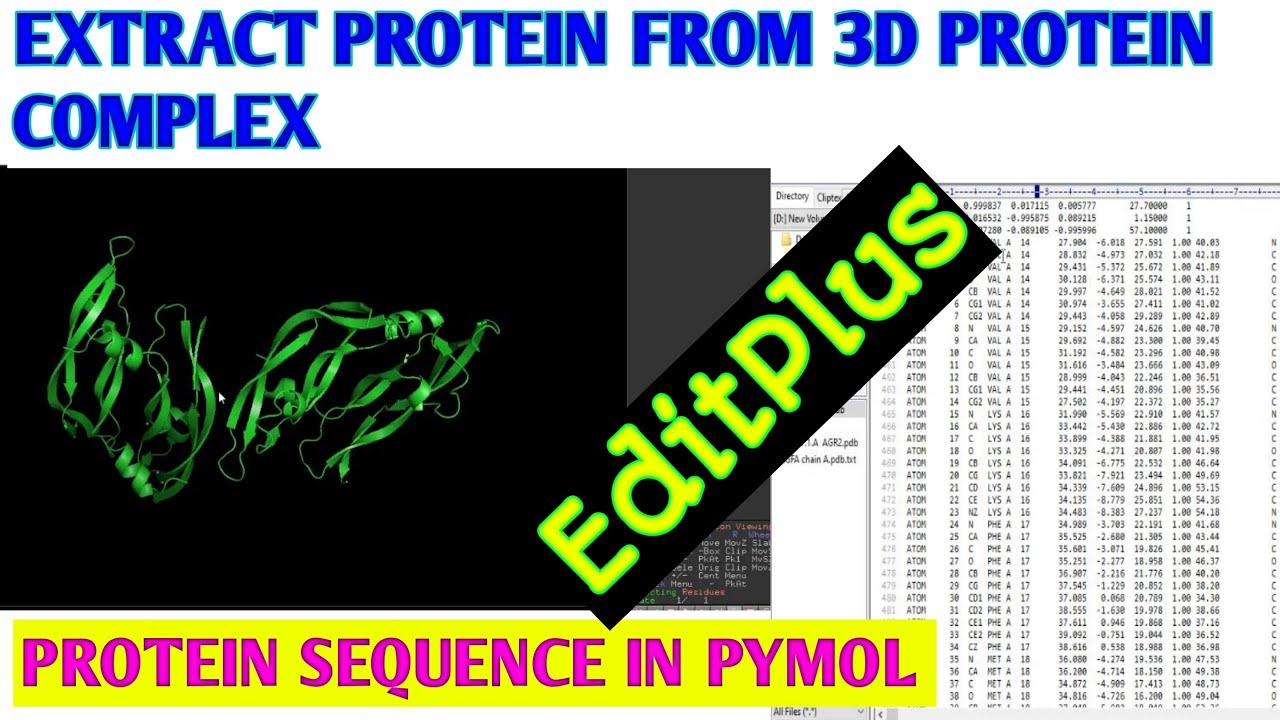 Extract protein from 3d complex ll pymol ll Xgene and proteinX - YouTube